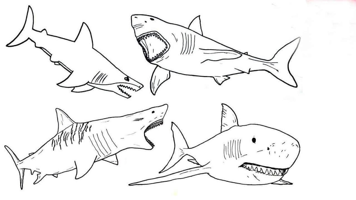 Tubarões para colorir - Desenhos Imprimir Tubarões para colorir - Desenhos Imprimir