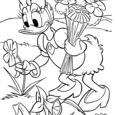 Desenhos da Margarida Donald para colorir - Desenhos Imprimir